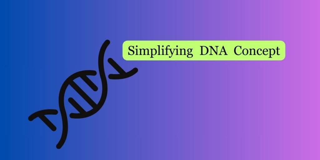 Simplifying DNA : a recipe book! - Concepts Lab