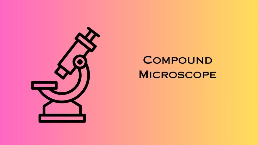 What is a Compound Microscope? - Concepts Lab